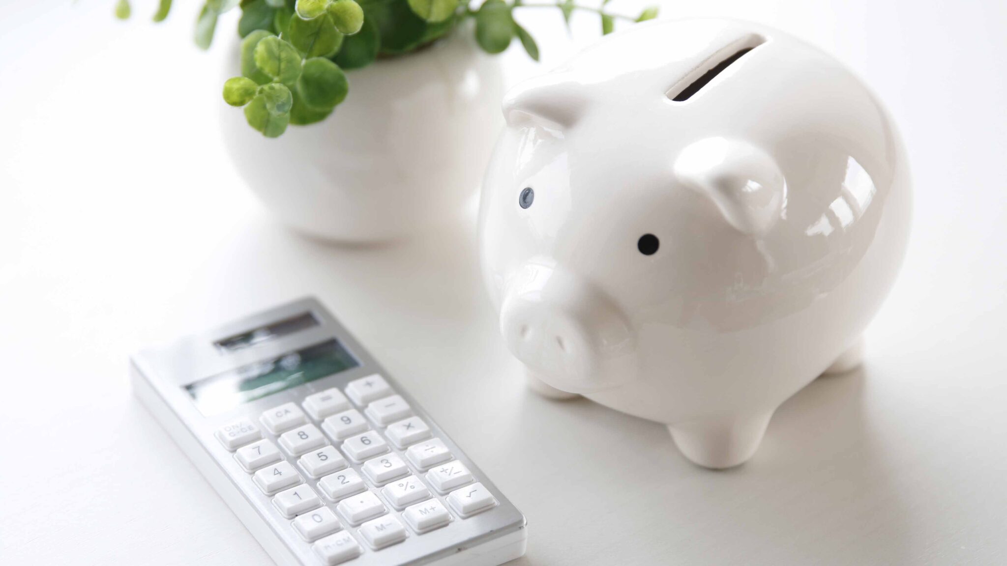 Breathing Space Scheme - Debt Respite - MoneyPlus Advice